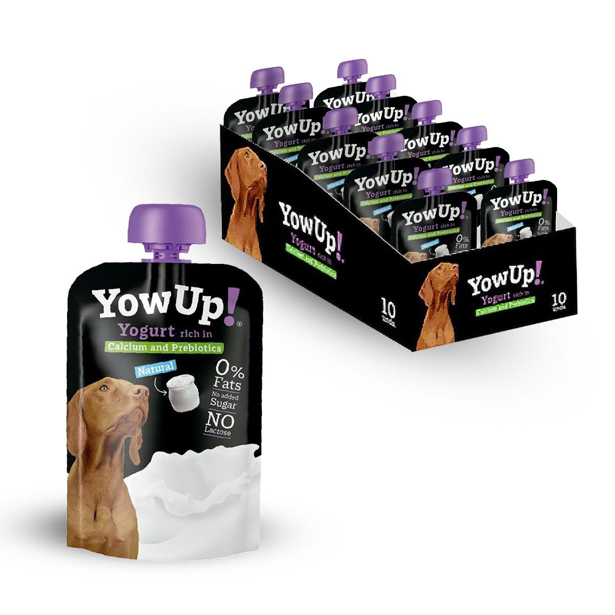 Natural Yogurt for Dogs | Digestive Aid & Immune Booster, 23,20