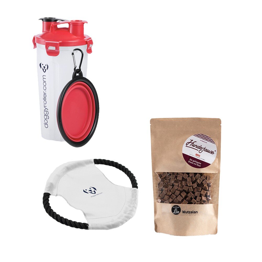 Outdoor Playset for Dogs – Versatile and Practical, 21,50